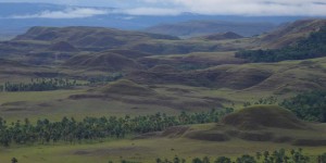 Los seres mágicos de la Gran Sabana
