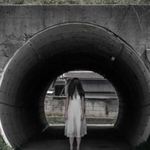 la-greisha-esqueleto-fantasma-japones - Supercurioso