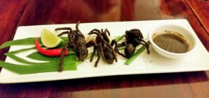 Las Comidas más raras del Mundo | ¿Te atreverías a probarlas?