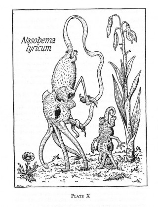 La asombrosa historia de los Rhinogrades