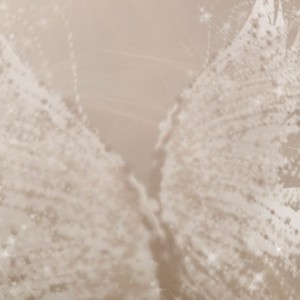 8 tipos de hadas que descubrir - Supercurioso