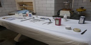 ¿ Cómo se embalsama un cadáver ? Las 5 fases