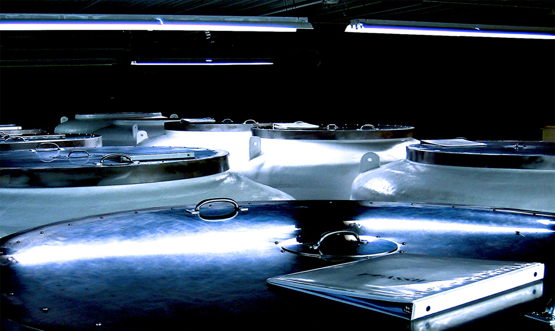 Criogenia: ¿cómo congelan a las personas?