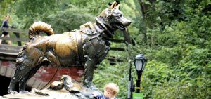 ¿Recuerdas a Balto? ¡Fue real! La verdadera historia de Balto