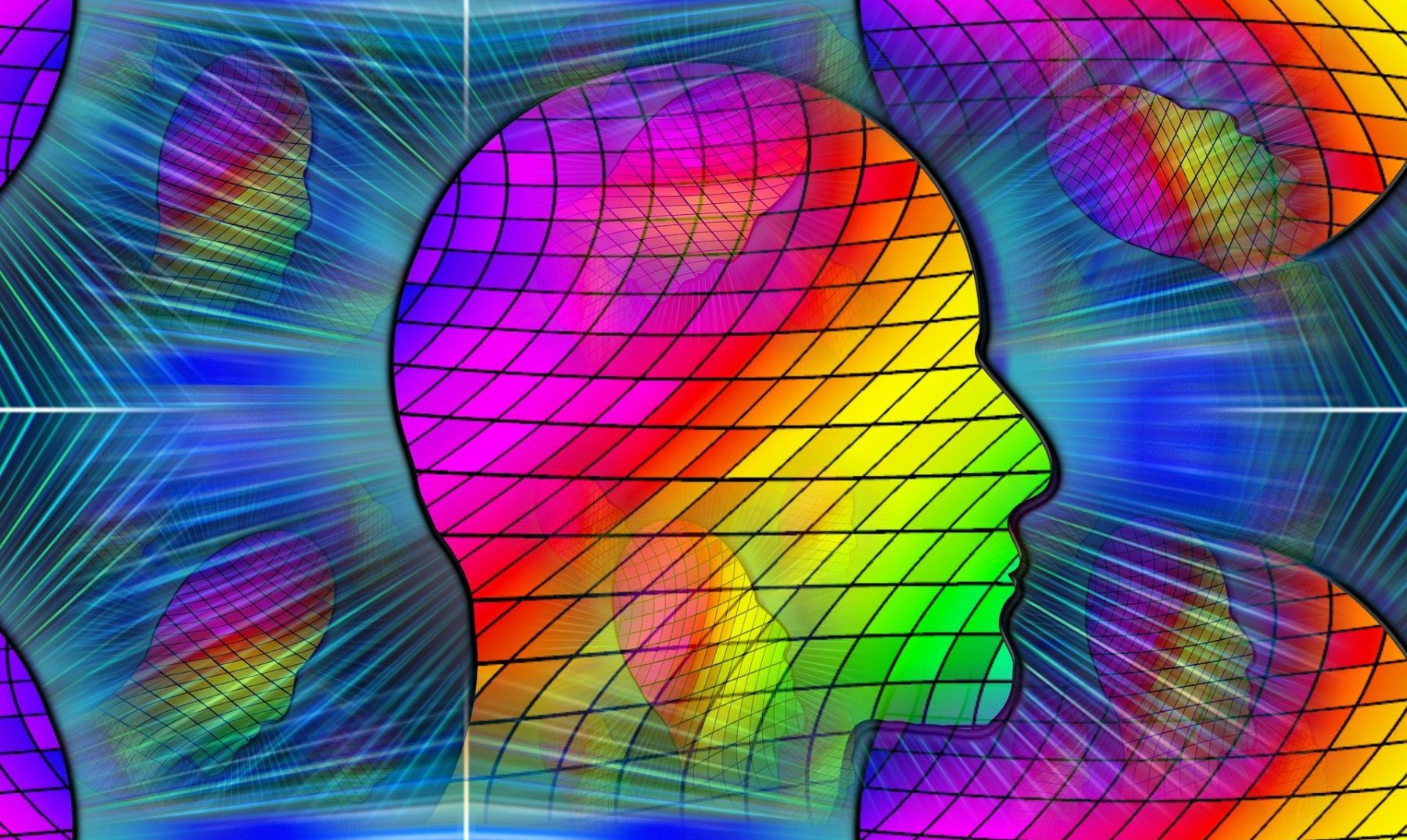 Las lentes que te permitirán saber cómo ve un tetracrómata