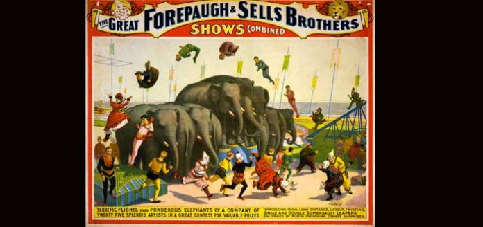 Topsy, la elefanta que electrocutó Edison para hundir a Tesla