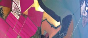 Naturaleza Rosada | ¡Te fascinarán estas maravillas naturales!