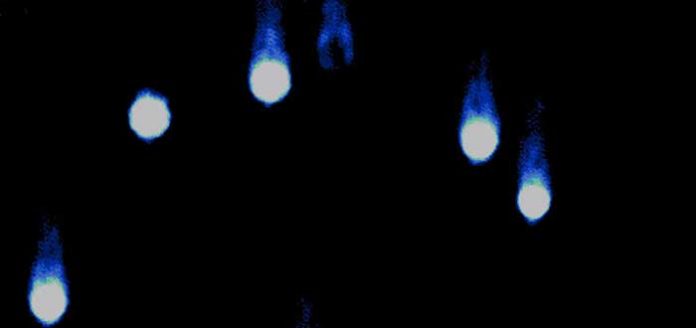 Hitodama, las almas de los recién fallecidos en Japón, pura LUZ