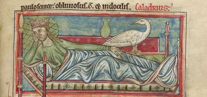 Caladrius, el ave mitológica que cura las enfermedades