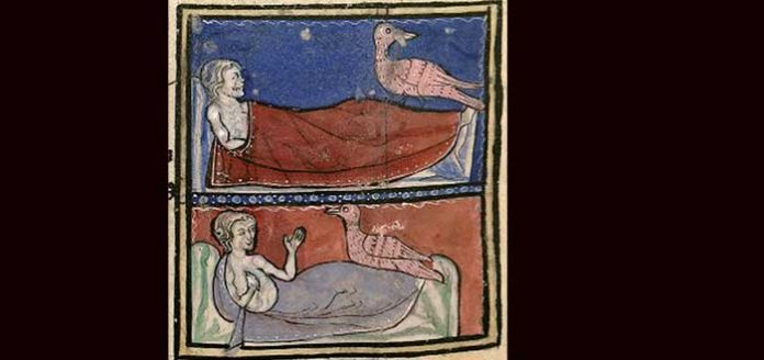 Caladrius, el ave mitológica que cura las enfermedades