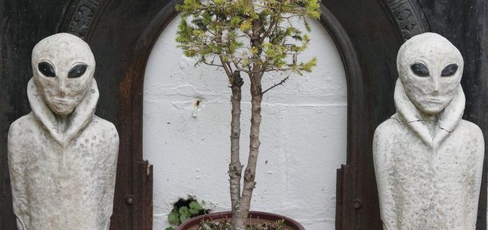 ¿Cuál sería el aspecto de los alienígenas? La ciencia habla