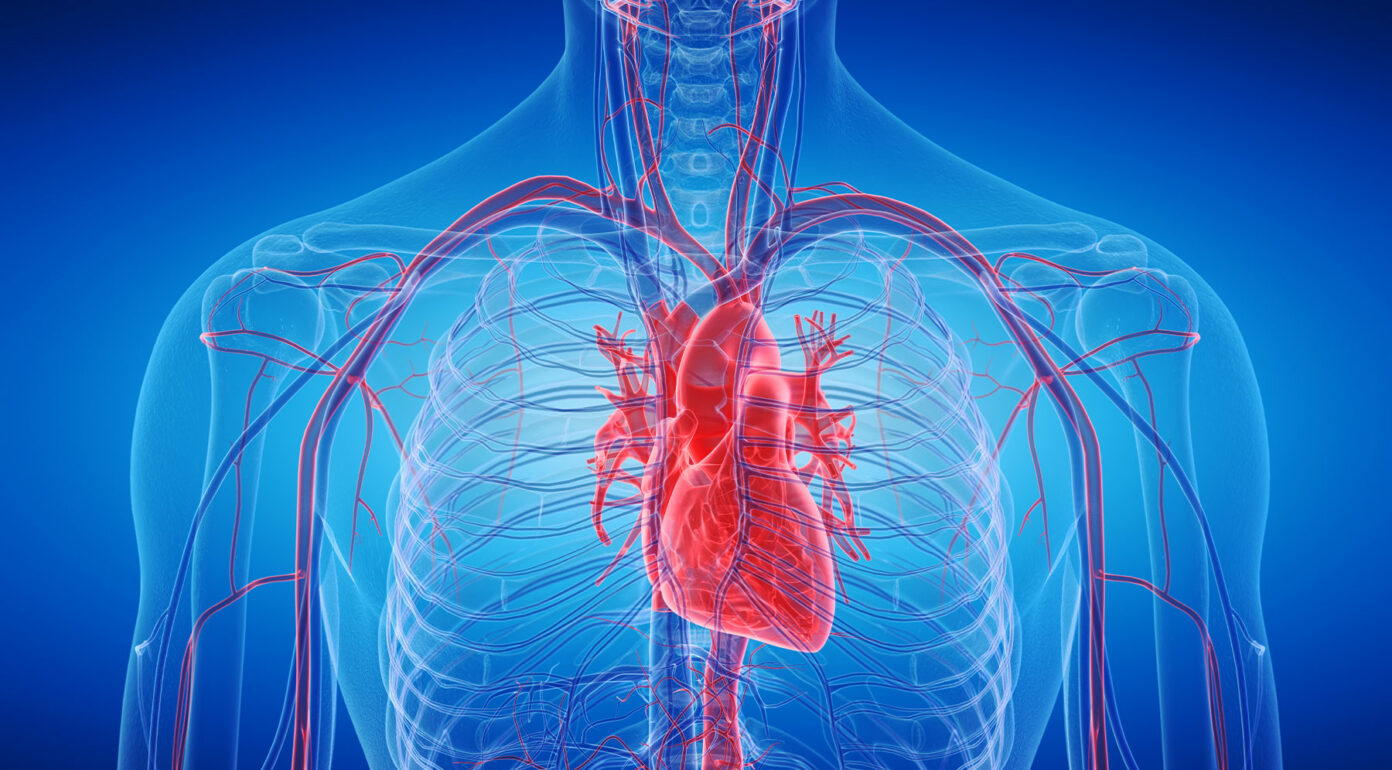 curiosidades del corazón Archives - Supercurioso