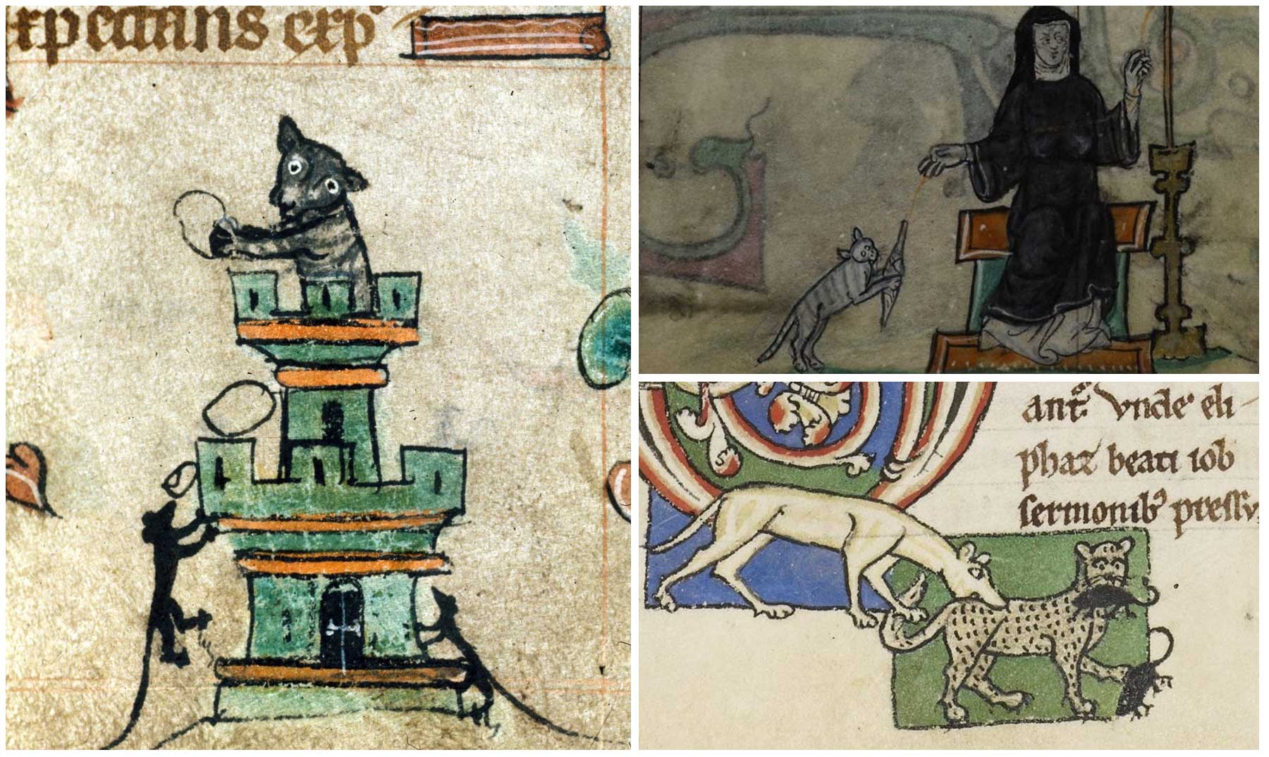10 Alucinantes imágenes de gatos en manuscritos medievales