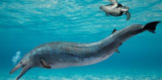 Naturaleza Archives - Página 5 de 123 - Supercurioso