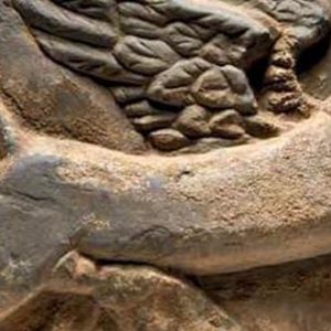 fascinus''' - Supercurioso