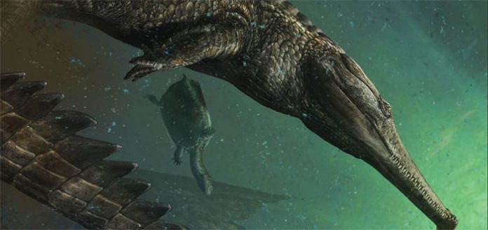 Conoce al Machimosaurus | El cocodrilo dinosaurio más grande del mar