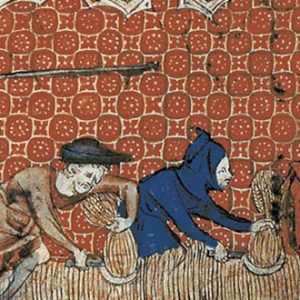 mago medieval 9 - Supercurioso