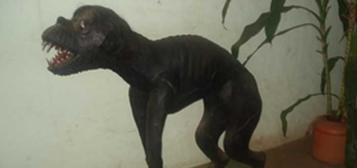 La leyenda del Lobizón, el hombre-lobo guaraní | ¡Deshaceros del 7º hijo!