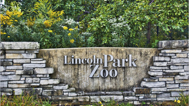 25 Curiosidades de Chicago fascinantes [Con Imágenes]