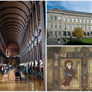 20 Curiosidades de la Biblioteca Trinity College de Dublín - Supercurioso