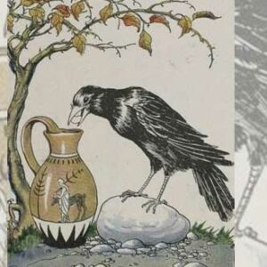 La fábula El Cuervo y la Jarra de Esopo podría ser verdad | Descúbrelo ...