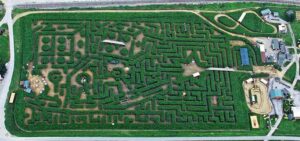 10 Laberintos Difíciles reales para mentes despiertas | ¿Te atreves?