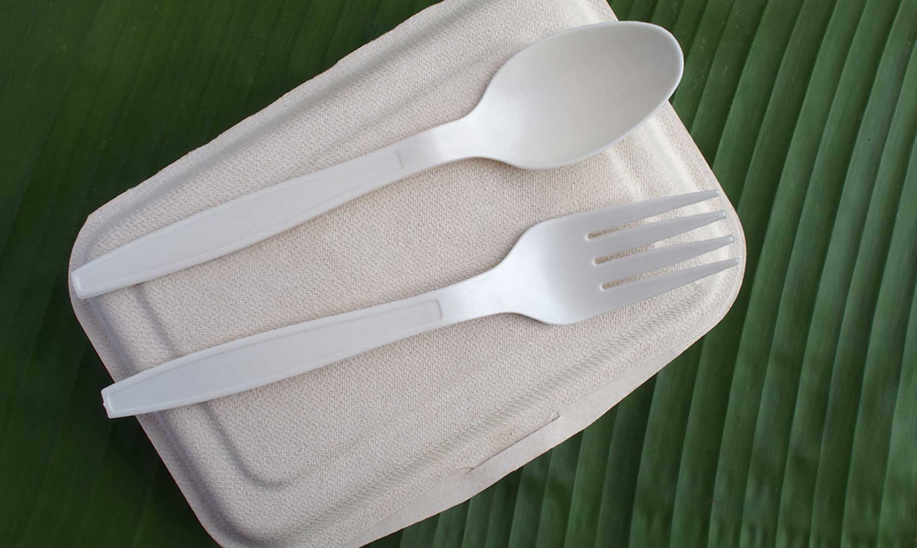 5 Formas de crear Plásticos Biodegradables | Te sorprenderán