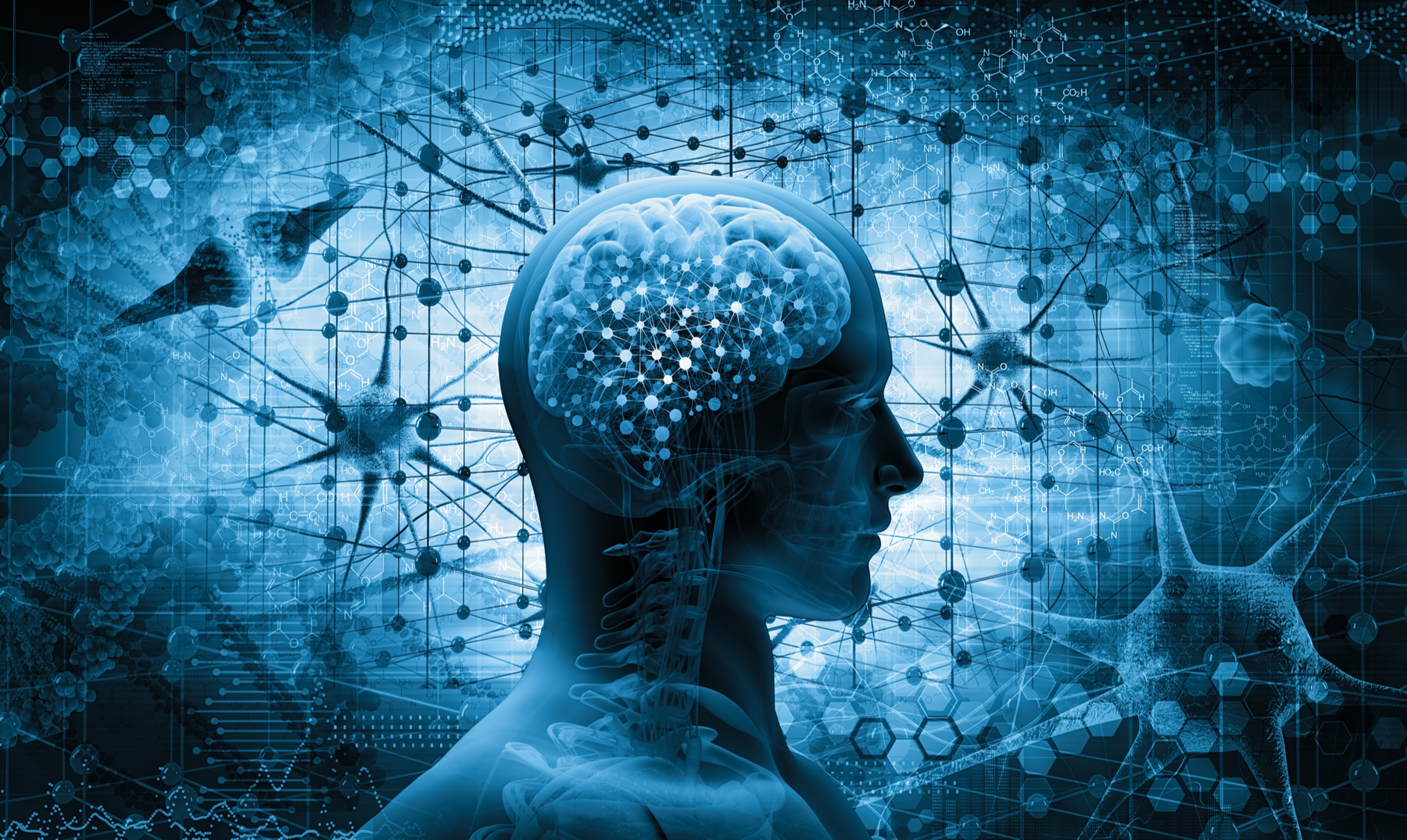 ¿Qué es la neurociencia? | Cómo se comporta nuestra mente