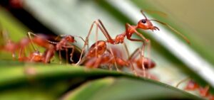 15 fábulas colombianas | Ejemplo de cultura y tradición